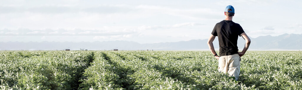 PowerCurve® Collections | Experian Middle East